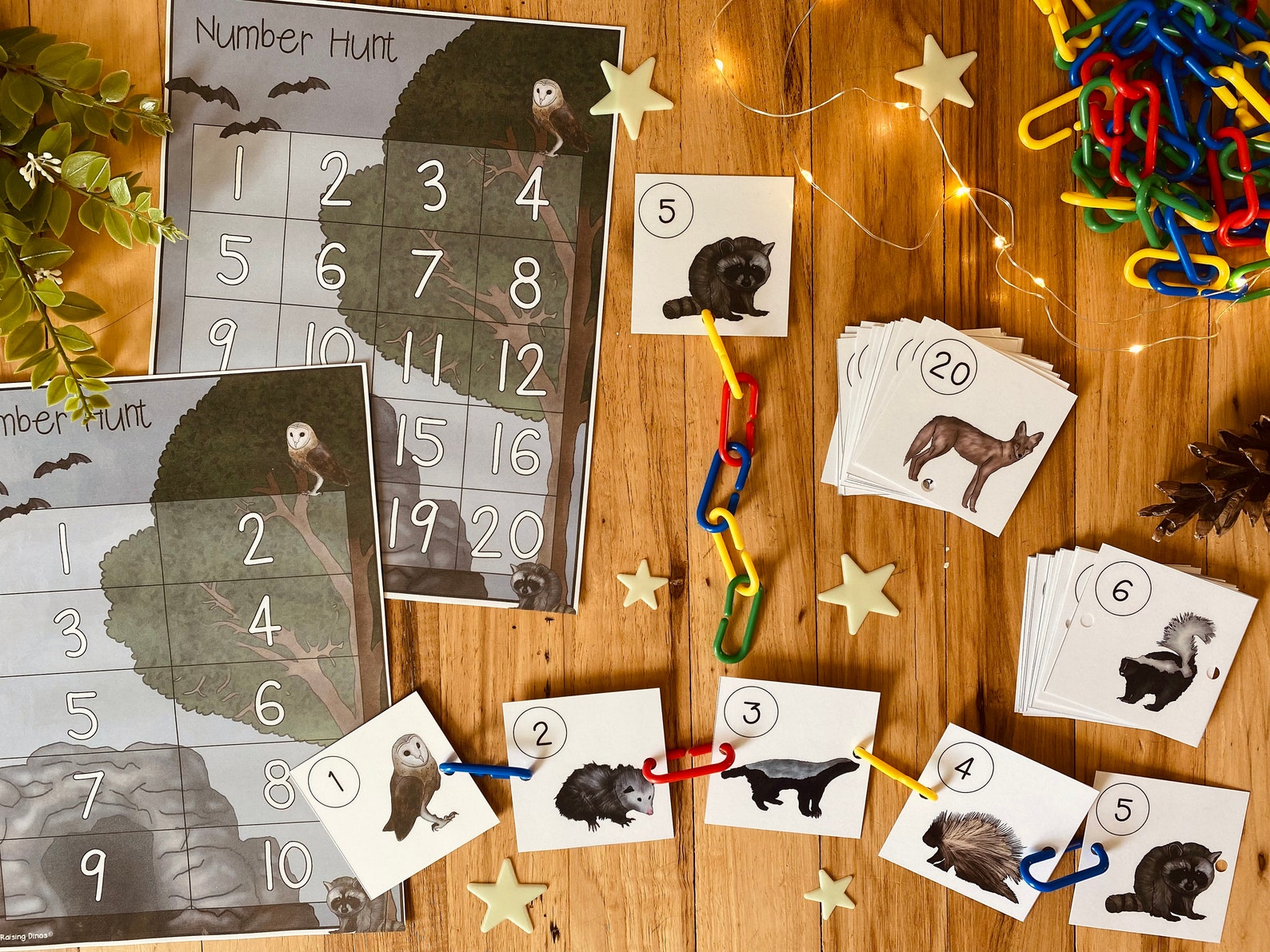 Nocturnal Animals Unit Bundle - Etsy