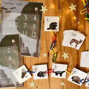 Nocturnal Animals Unit Bundle - Etsy