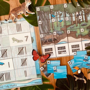 Rainforest Unit Bundle - Etsy