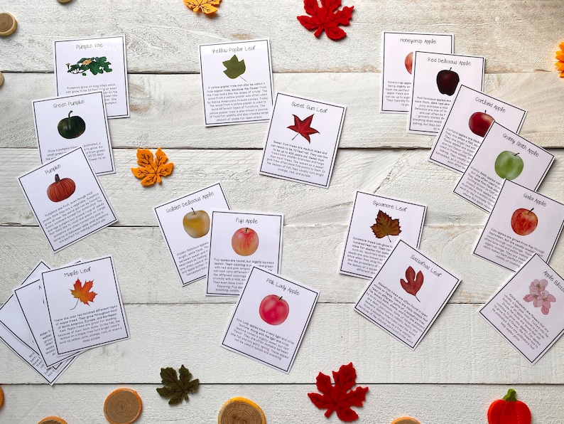 Fall Unit: Science Pack - Etsy
