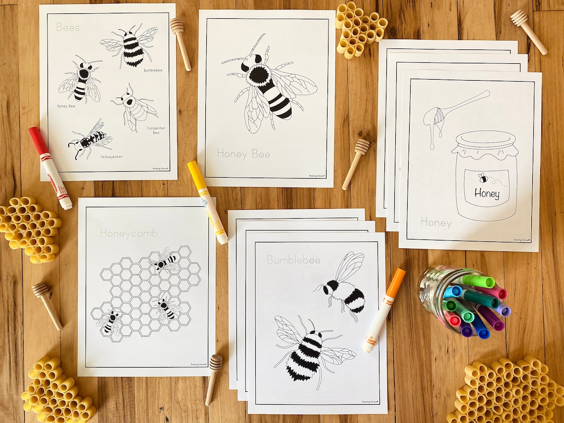 Bee Unit: Science Pack - Etsy