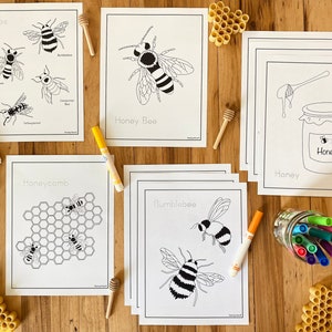 Bee Unit: Science Pack - Etsy