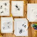 Bee Unit: Science Pack - Etsy