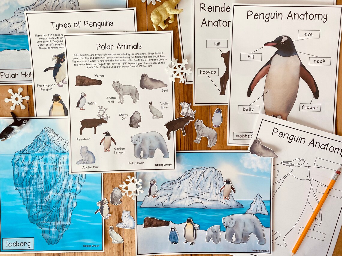 Polar Animal Mini Study | Etsy