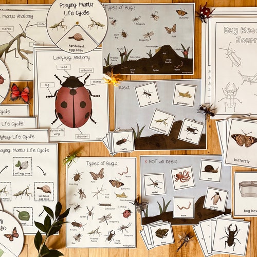 Bug Unit: Science Pack - Etsy