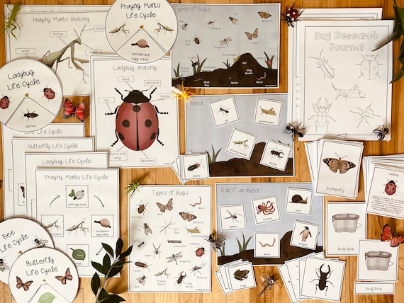 Bug Unit: Science Pack - Etsy