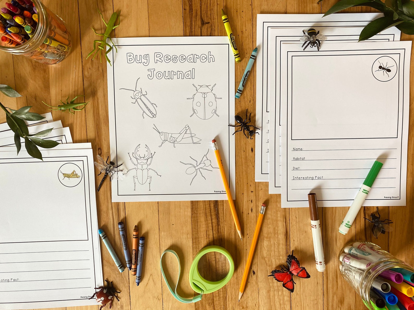 Bug Unit Bundle | Etsy