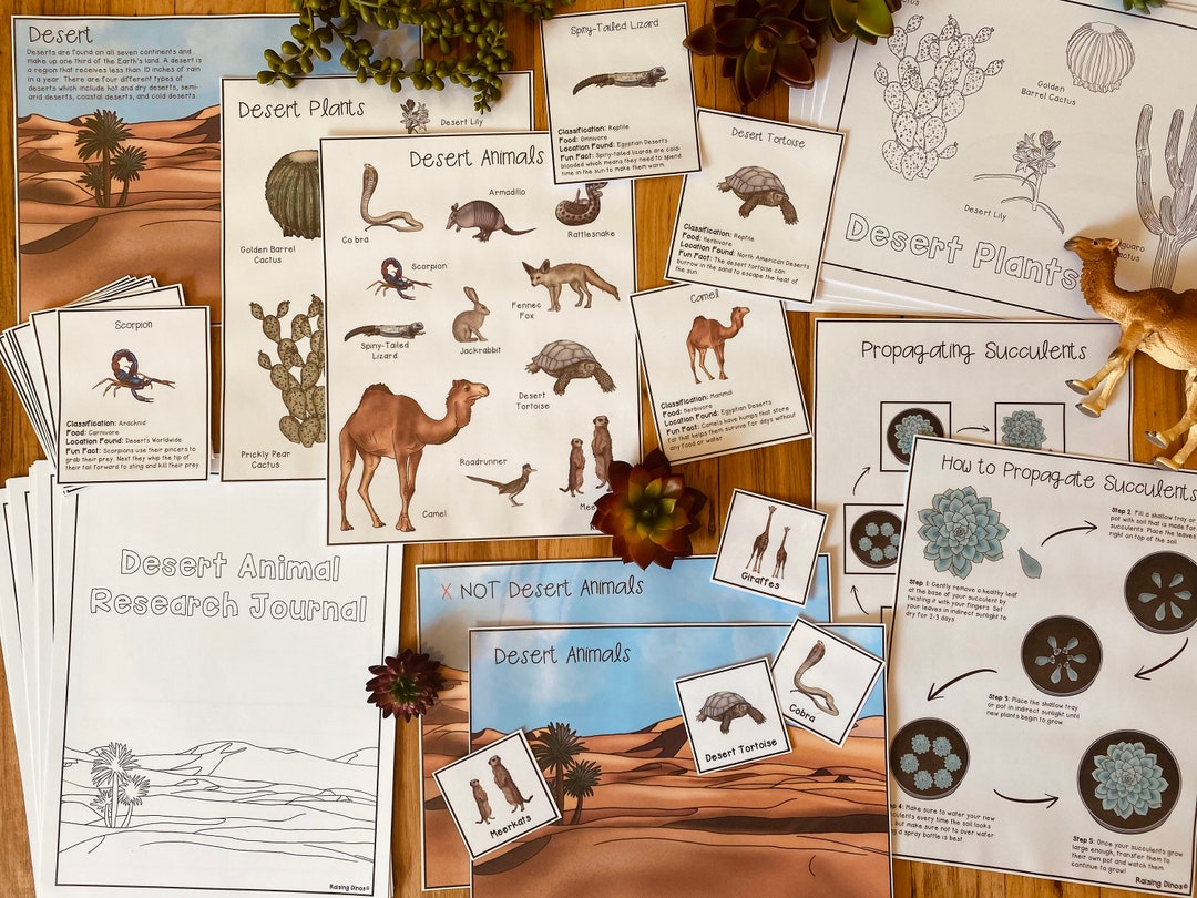 Desert Unit: Science Pack - Etsy