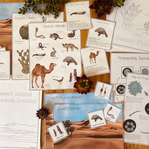 Desert Unit Study - Etsy