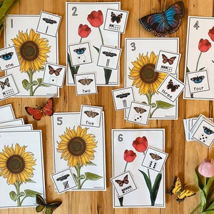 Butterfly Unit Bundle - Etsy
