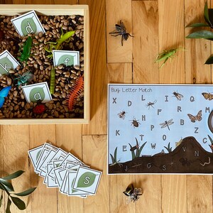 Bug Unit: Literacy Pack - Etsy