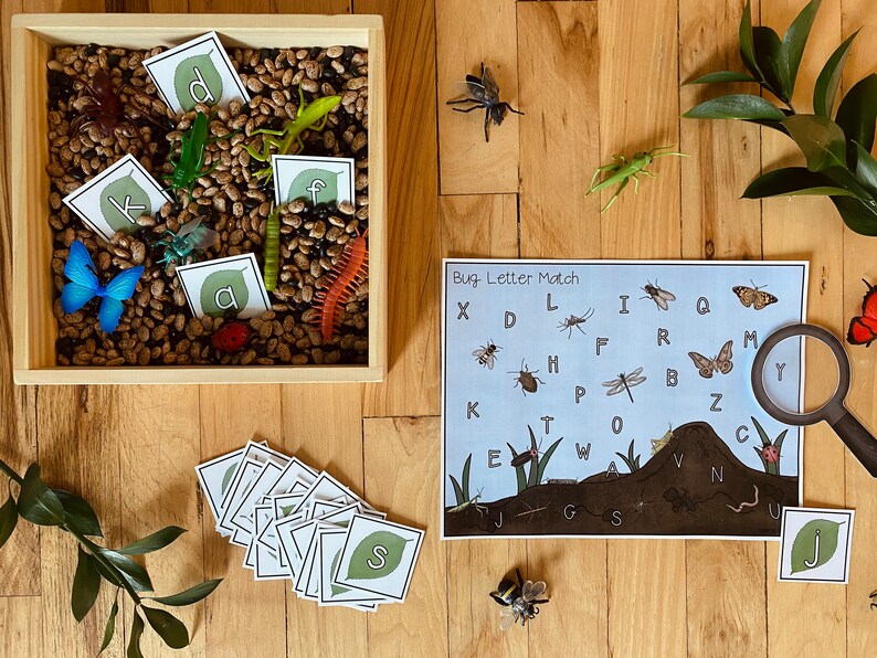 Bug Unit: Literacy Pack | Etsy