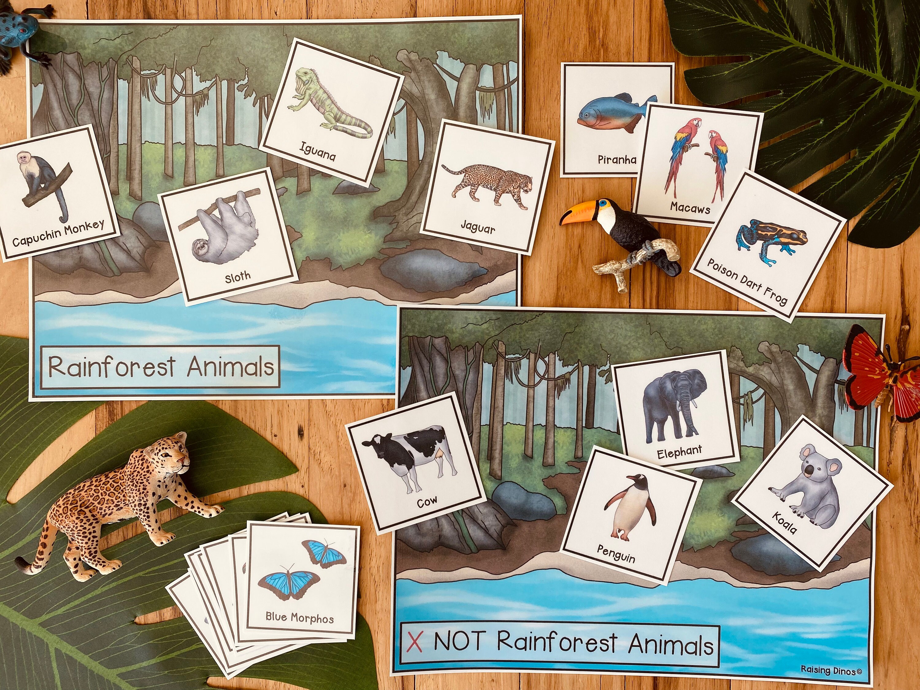 Rainforest Unit: Science Pack - Etsy