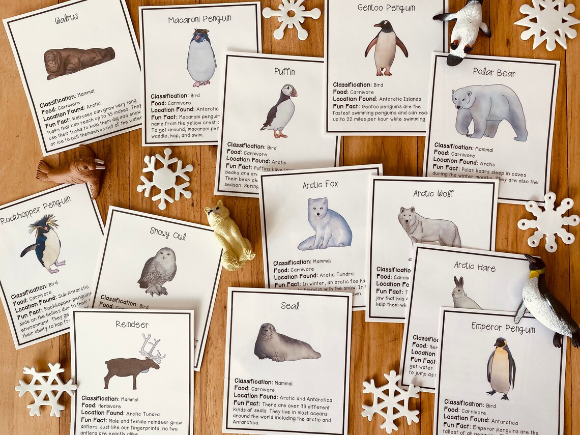 Polar Animal Mini Study | Etsy