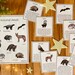 Nocturnal Animals Unit: Science Pack - Etsy