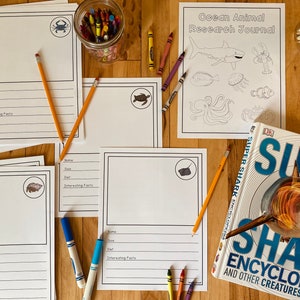 Ocean Unit Bundle - Etsy