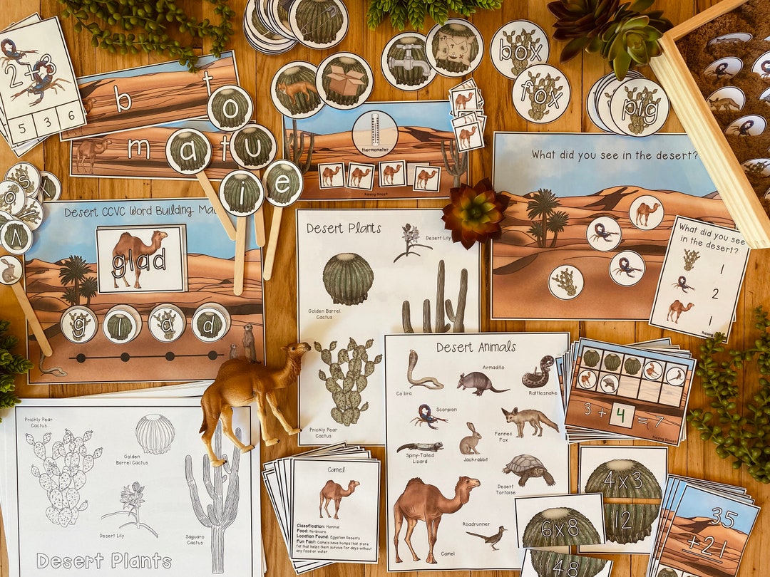 Desert Unit Bundle - Etsy