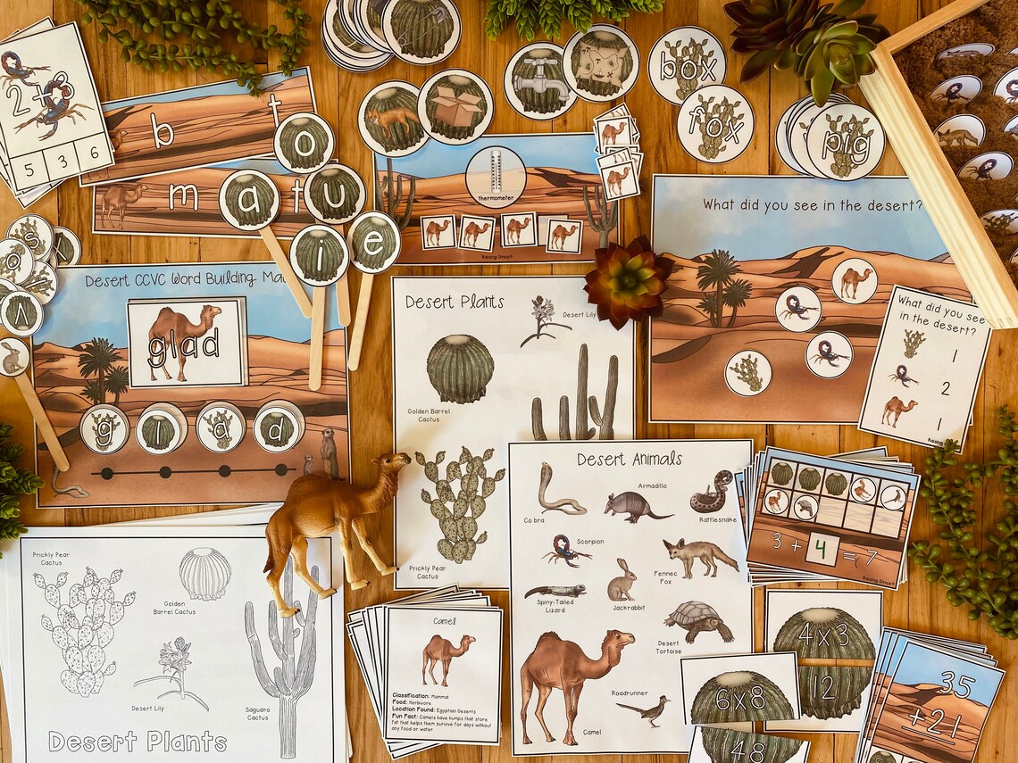 Desert Unit Bundle - Etsy
