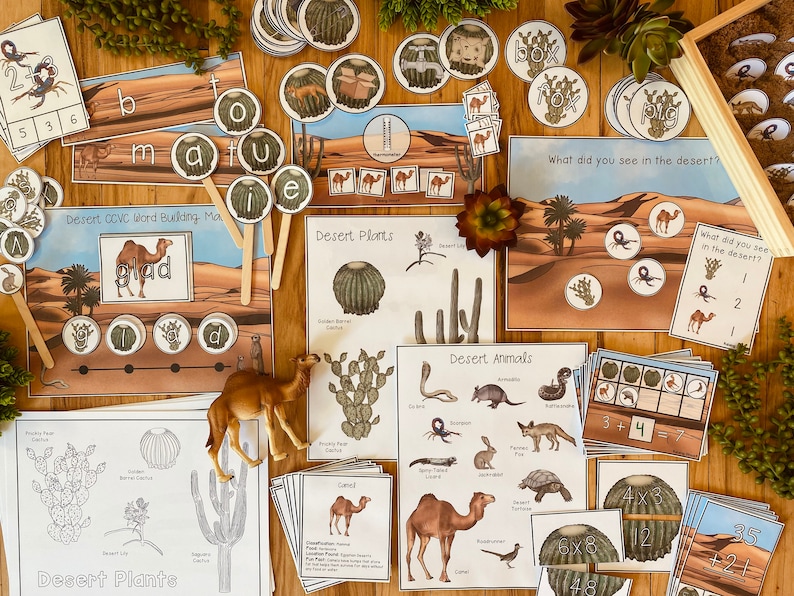 Desert Unit Bundle - Etsy