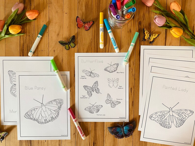 Butterfly Unit: Science Pack - Etsy