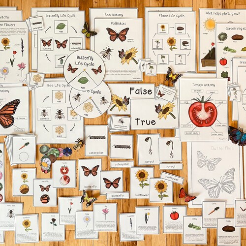 Bug Unit: Science Pack - Etsy