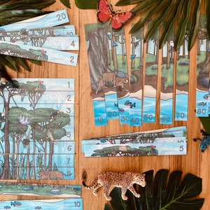 Rainforest Unit Bundle - Etsy