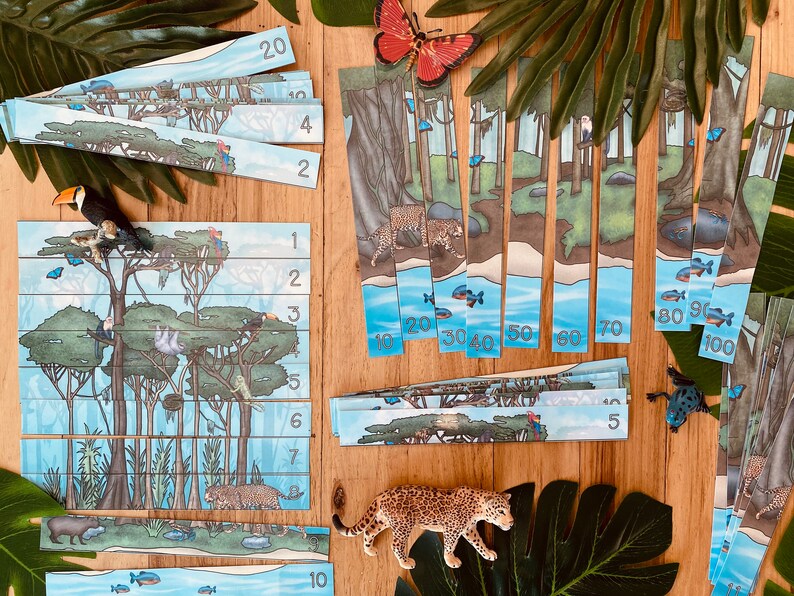 Rainforest Unit Bundle - Etsy