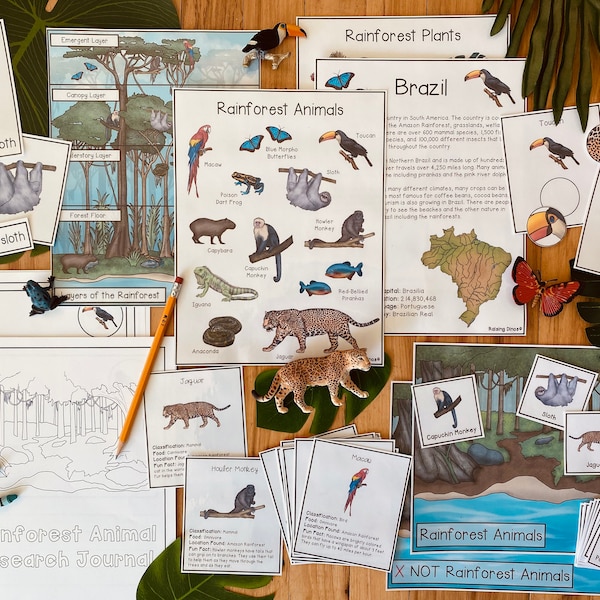 Tropical Rainforest - Etsy