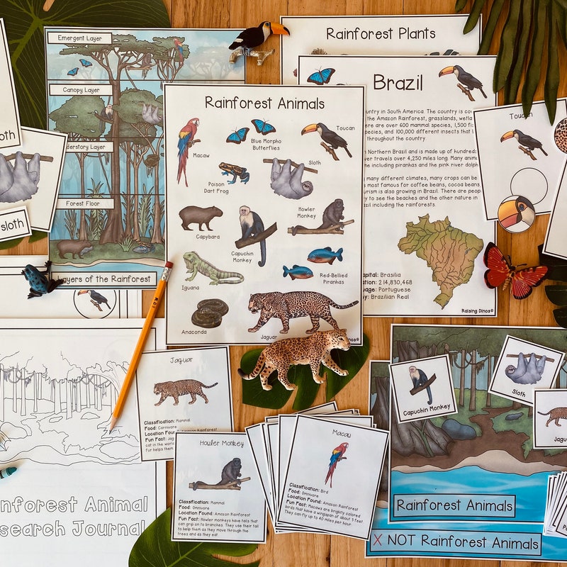 Tropical Rainforest - Etsy