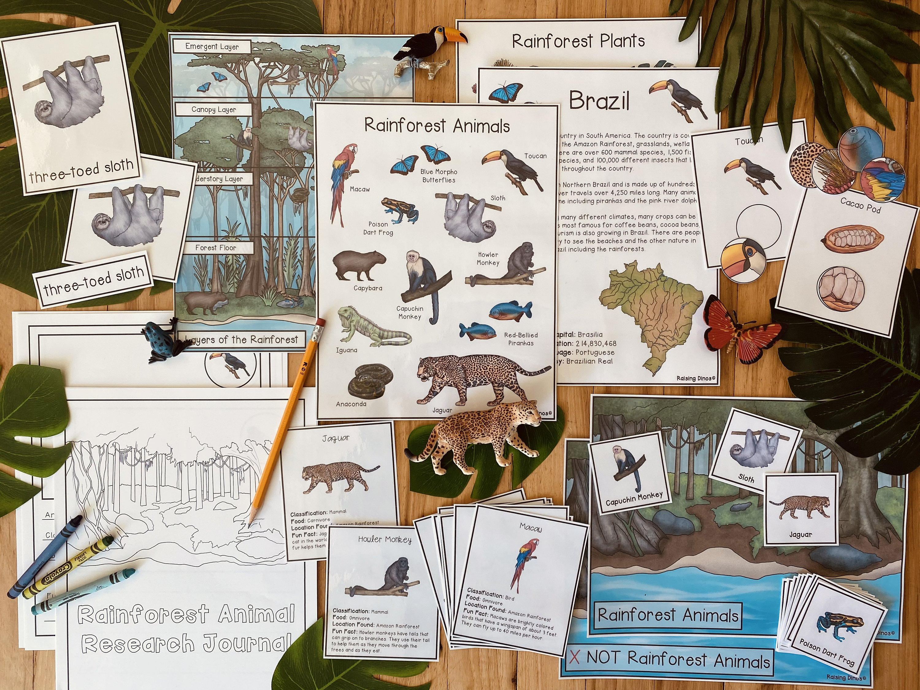 Rainforest Unit: Science Pack - Etsy