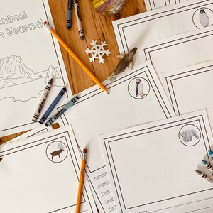 Polar Animal Mini Study - Etsy