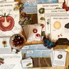 Phonics Learning Pack - All About Magic E - Etsy