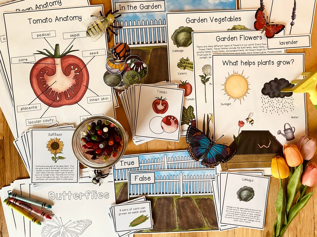 Garden Unit: Science Pack - Etsy