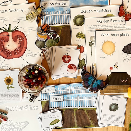 Garden Unit: Science Pack - Etsy
