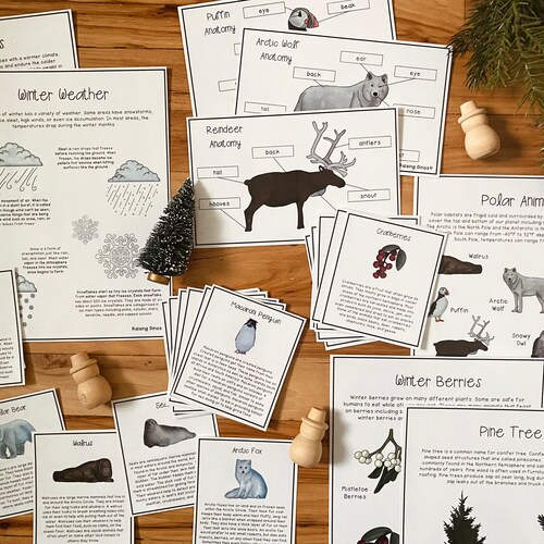 Winter Forest Unit: Science Pack | Etsy