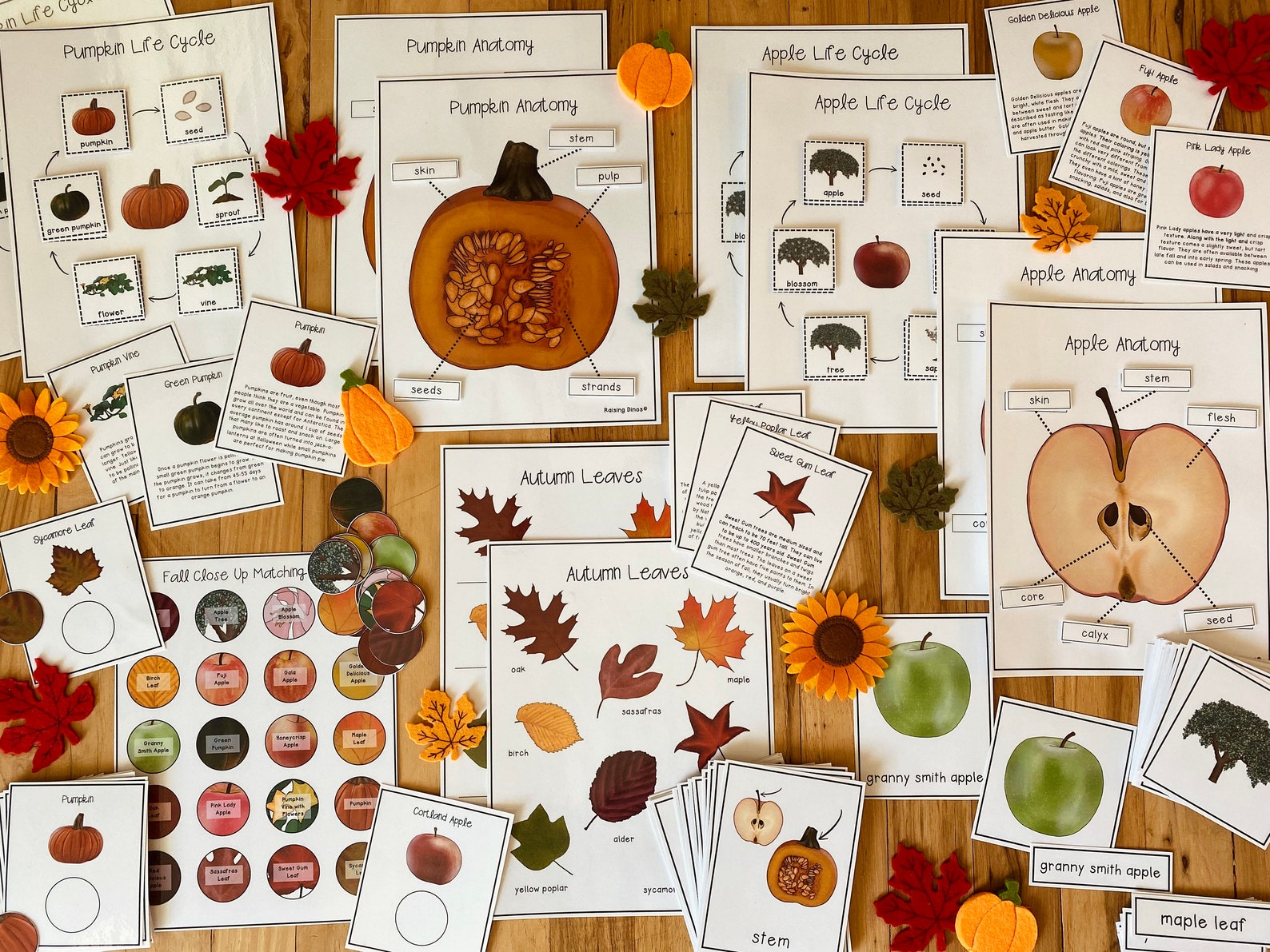 Fall Unit: Science Pack - Etsy