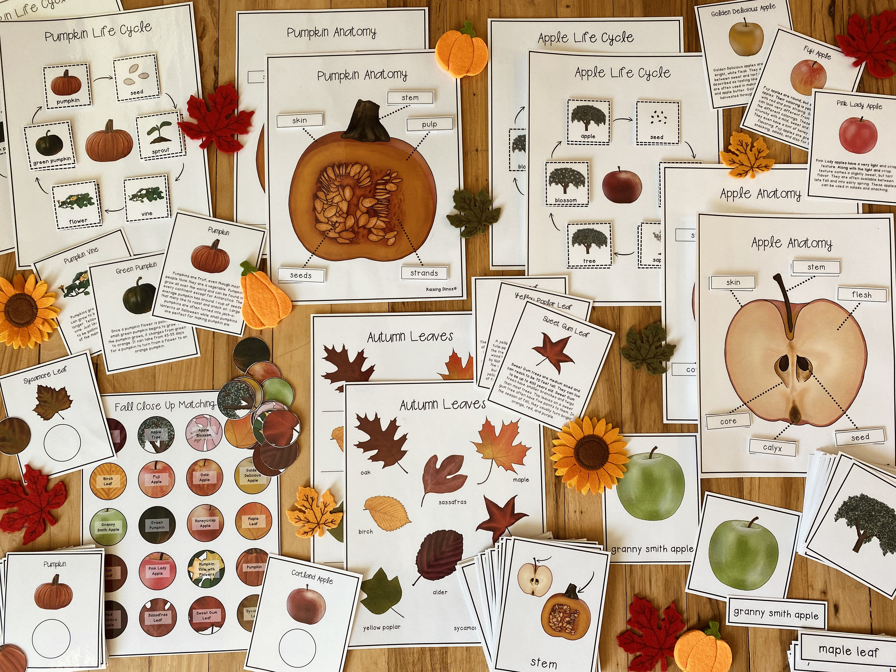Fall Unit: Science Pack - Etsy