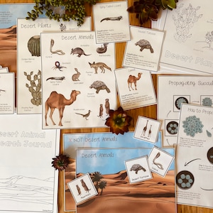 Desert Unit Bundle - Etsy