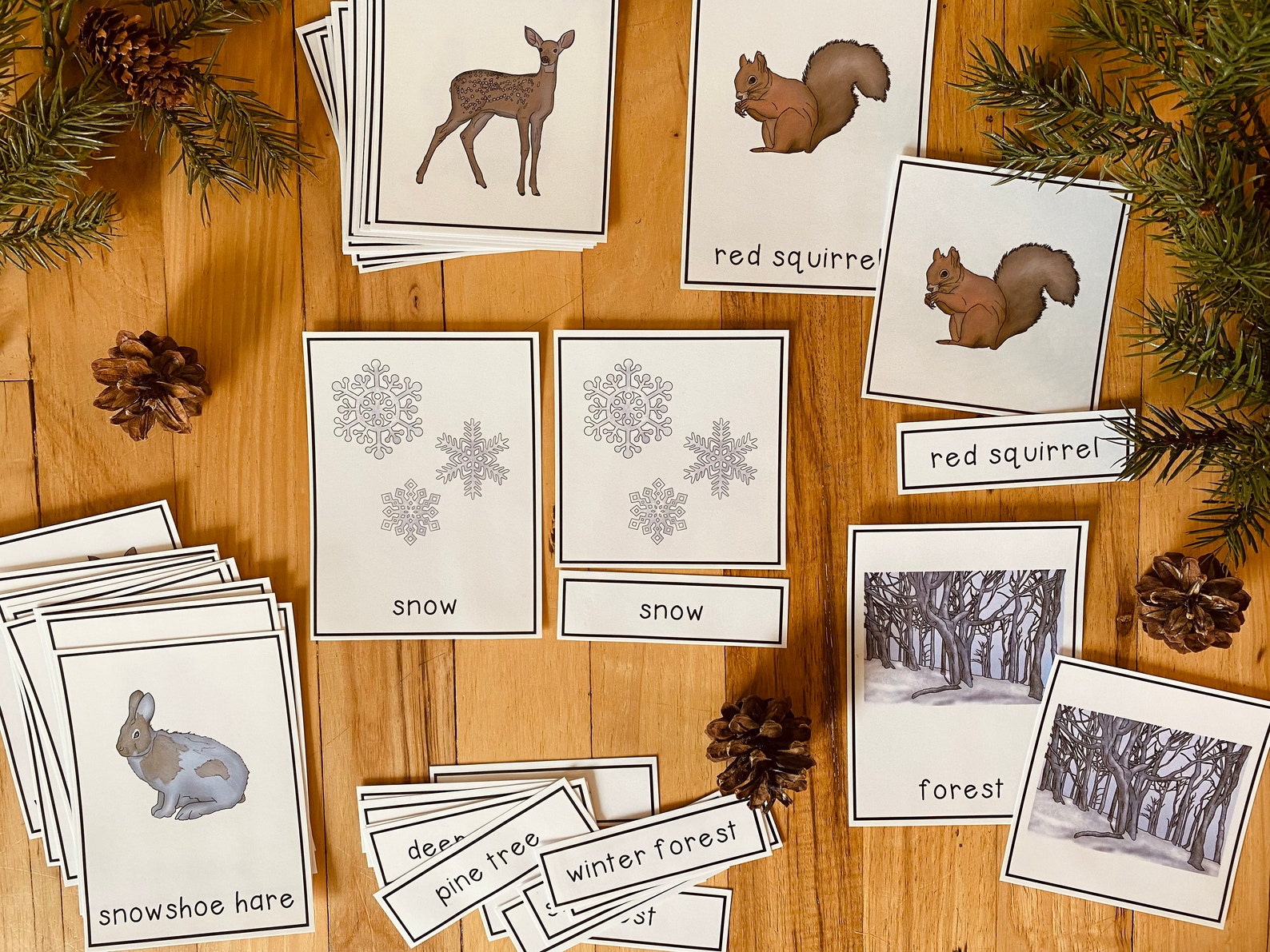 Winter Forest Unit: Science Pack - Etsy