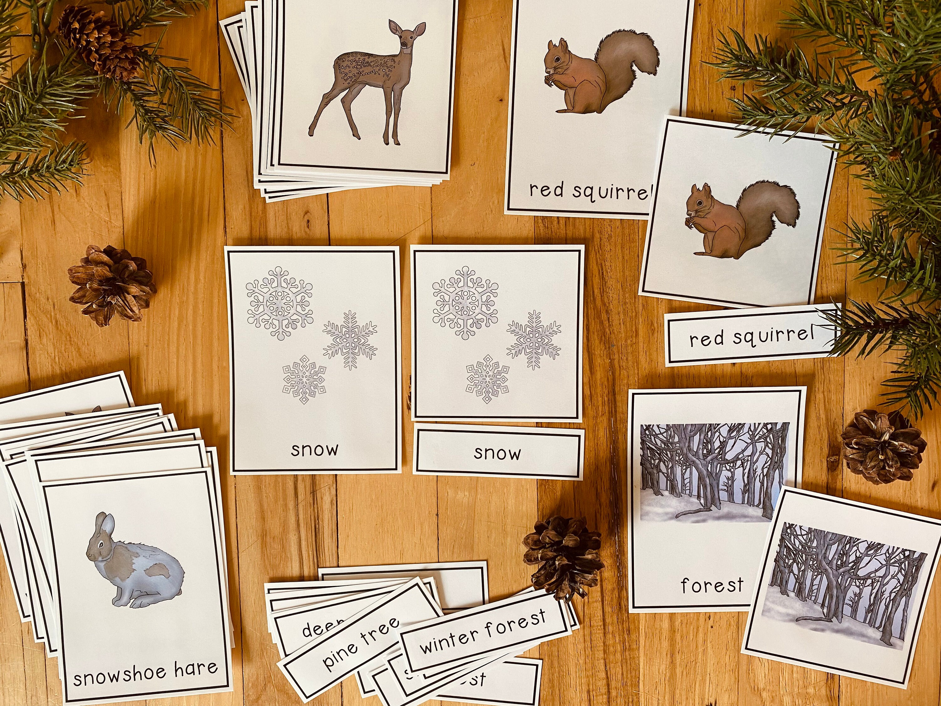 Winter Forest Unit: Science Pack - Etsy