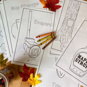 Maple Syrup Mini Study - Etsy