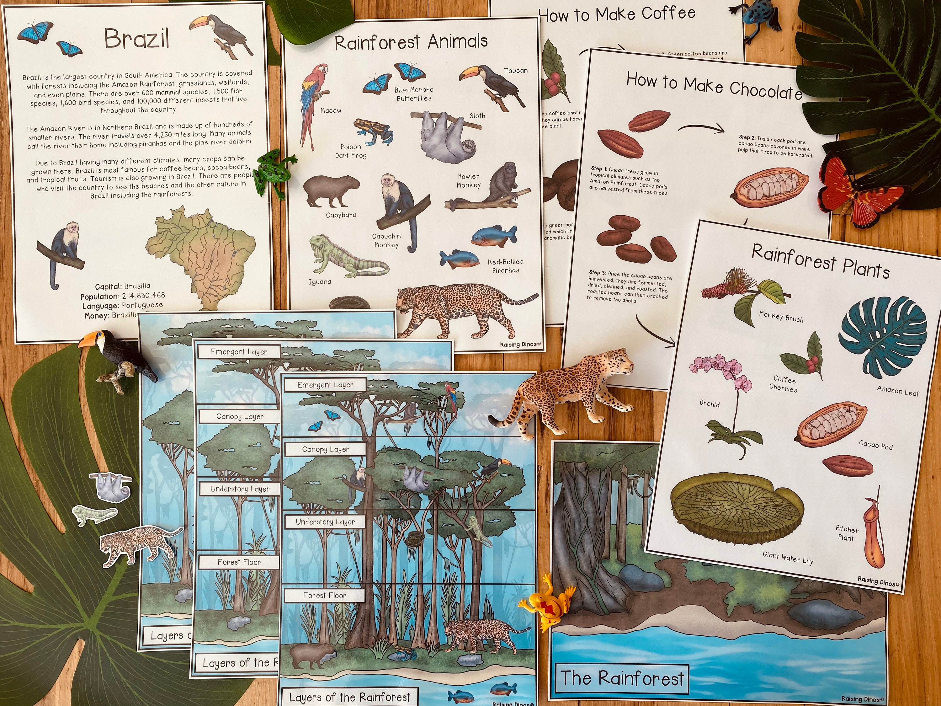 Rainforest Unit: Science Pack - Etsy