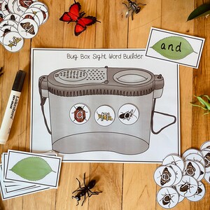 Bug Unit: Literacy Pack - Etsy