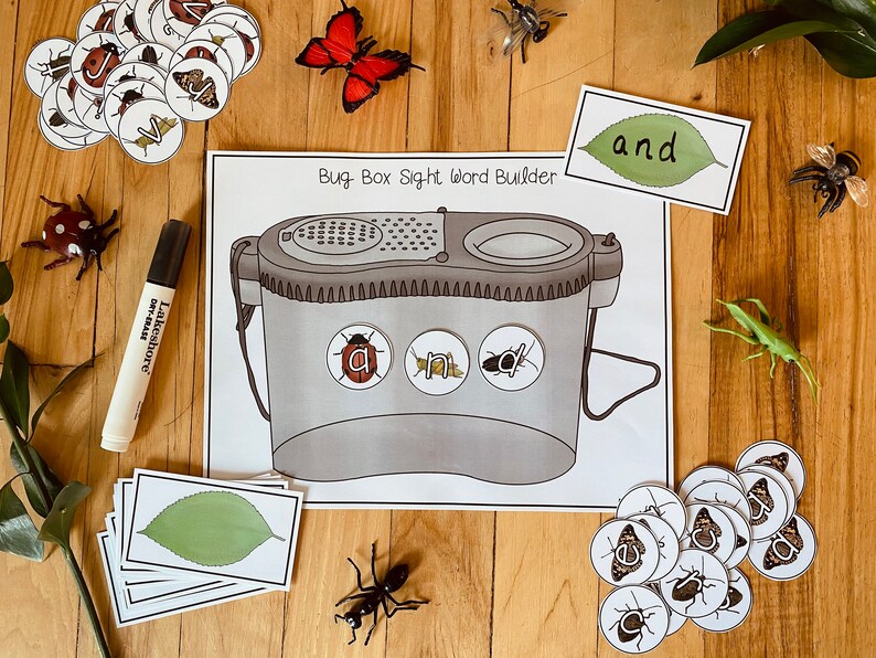 Bug Unit: Literacy Pack | Etsy