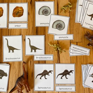 Dinosaur Unit: Science Pack - Etsy