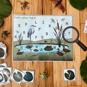 Pond Unit: Literacy Pack - Etsy