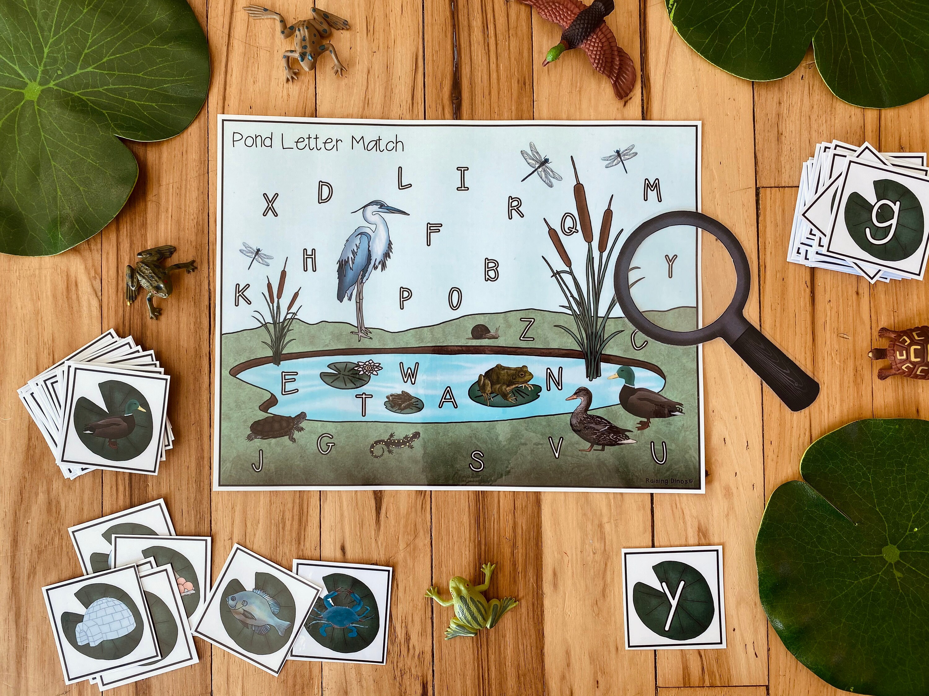Pond Unit: Literacy Pack | Etsy
