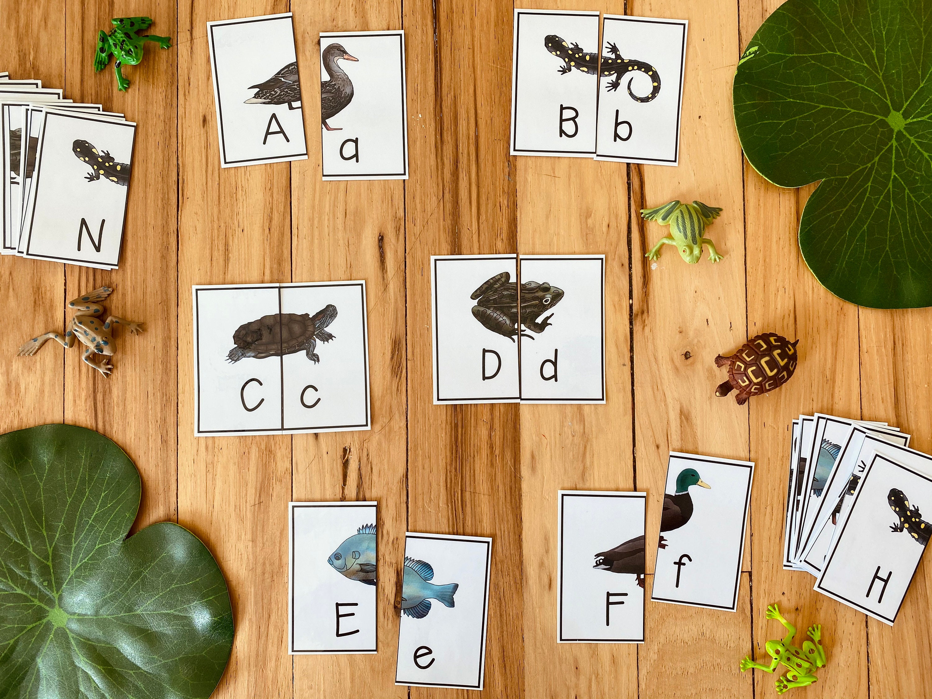 Pond Unit: Literacy Pack | Etsy