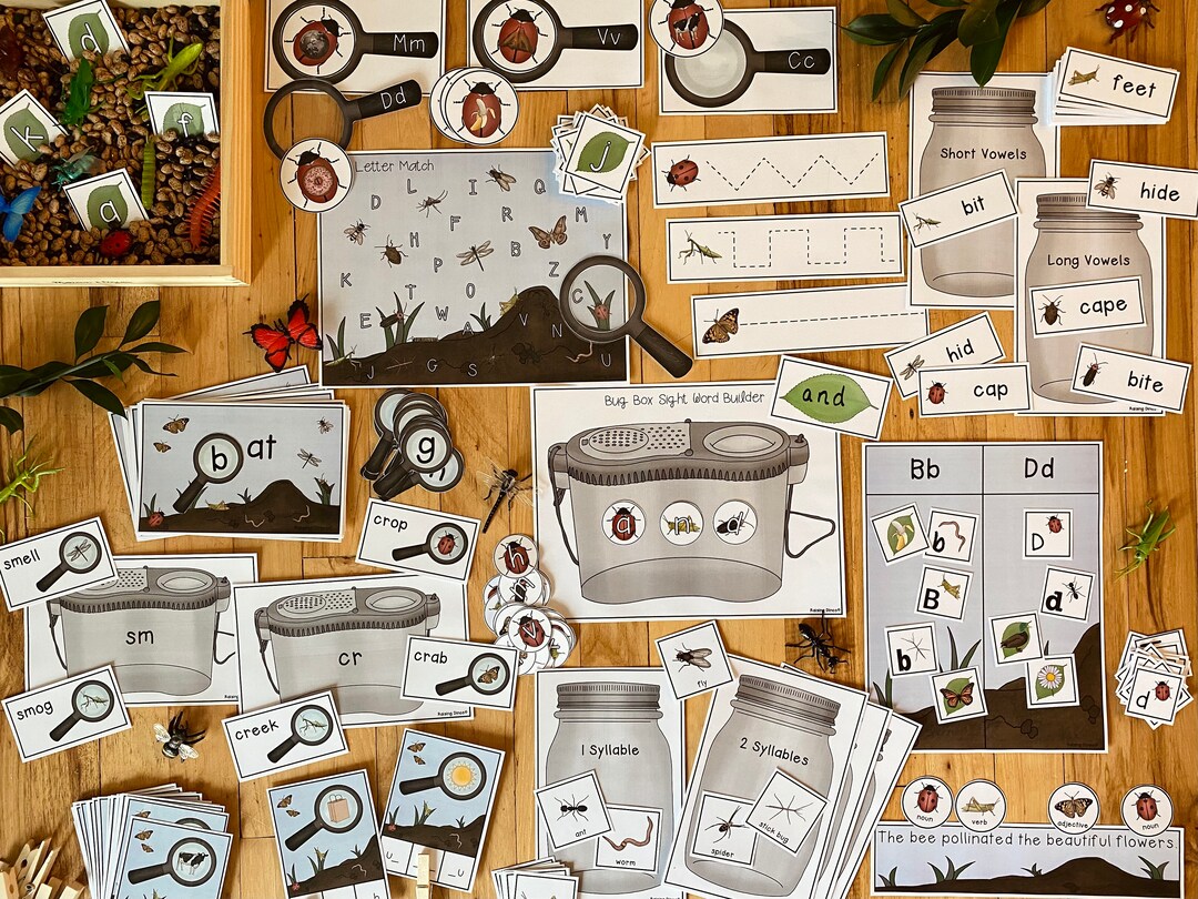 Bug Unit: Literacy Pack - Etsy