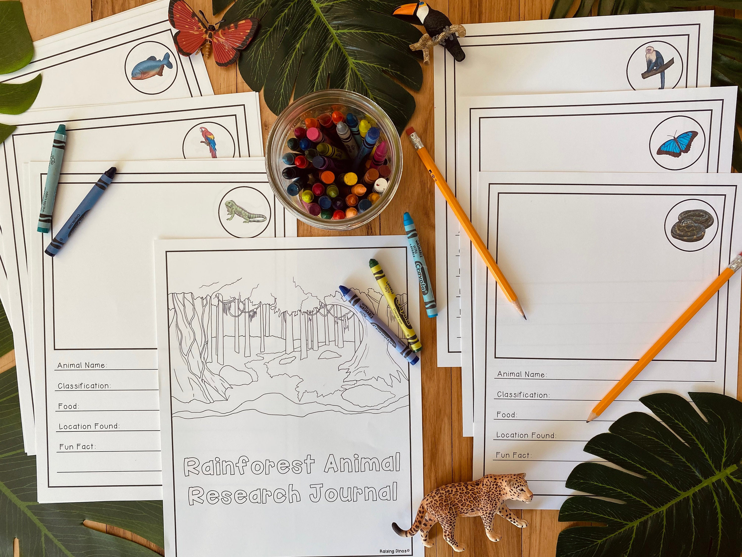 Rainforest Unit: Science Pack - Etsy